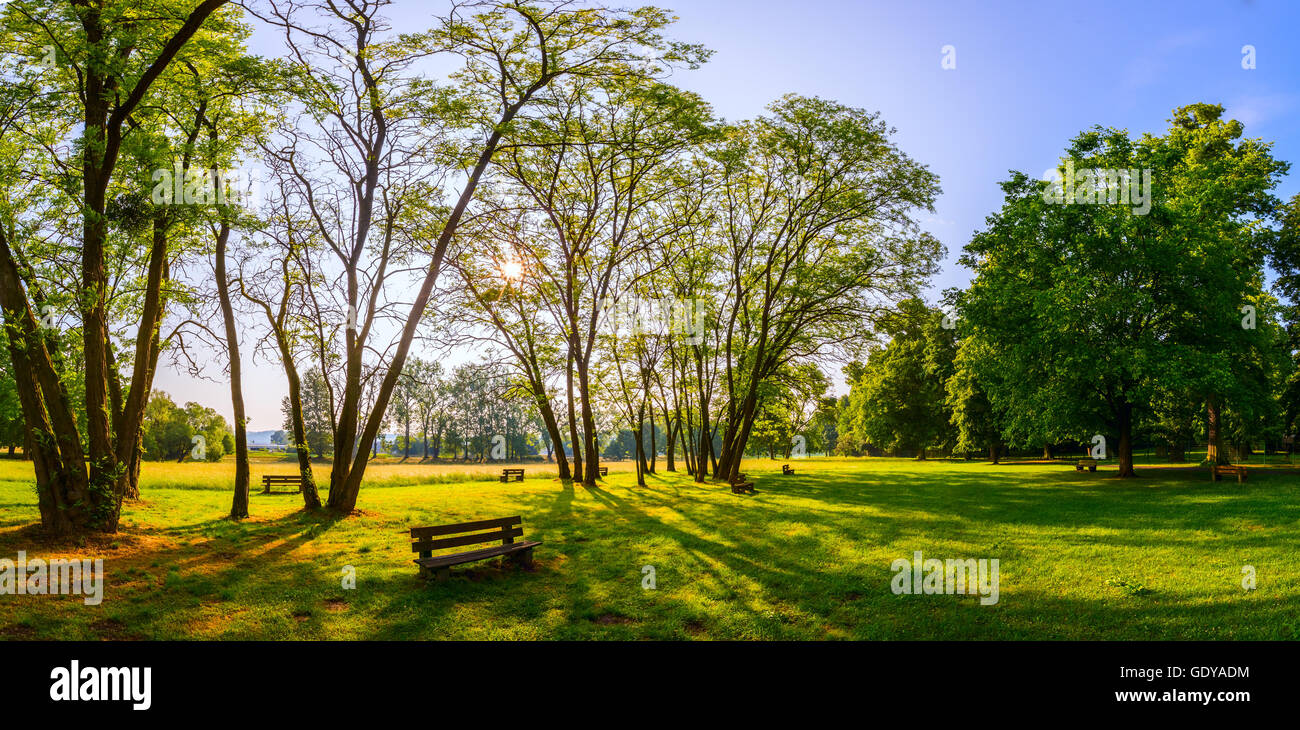 Summer season trees hi-res stock photography and images - Alamy