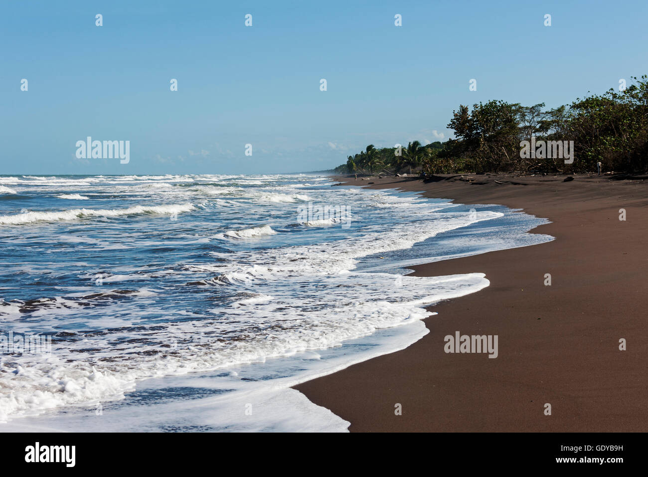 Scenics view of beach, Samara, Costa Rica Stock Photo - Alamy