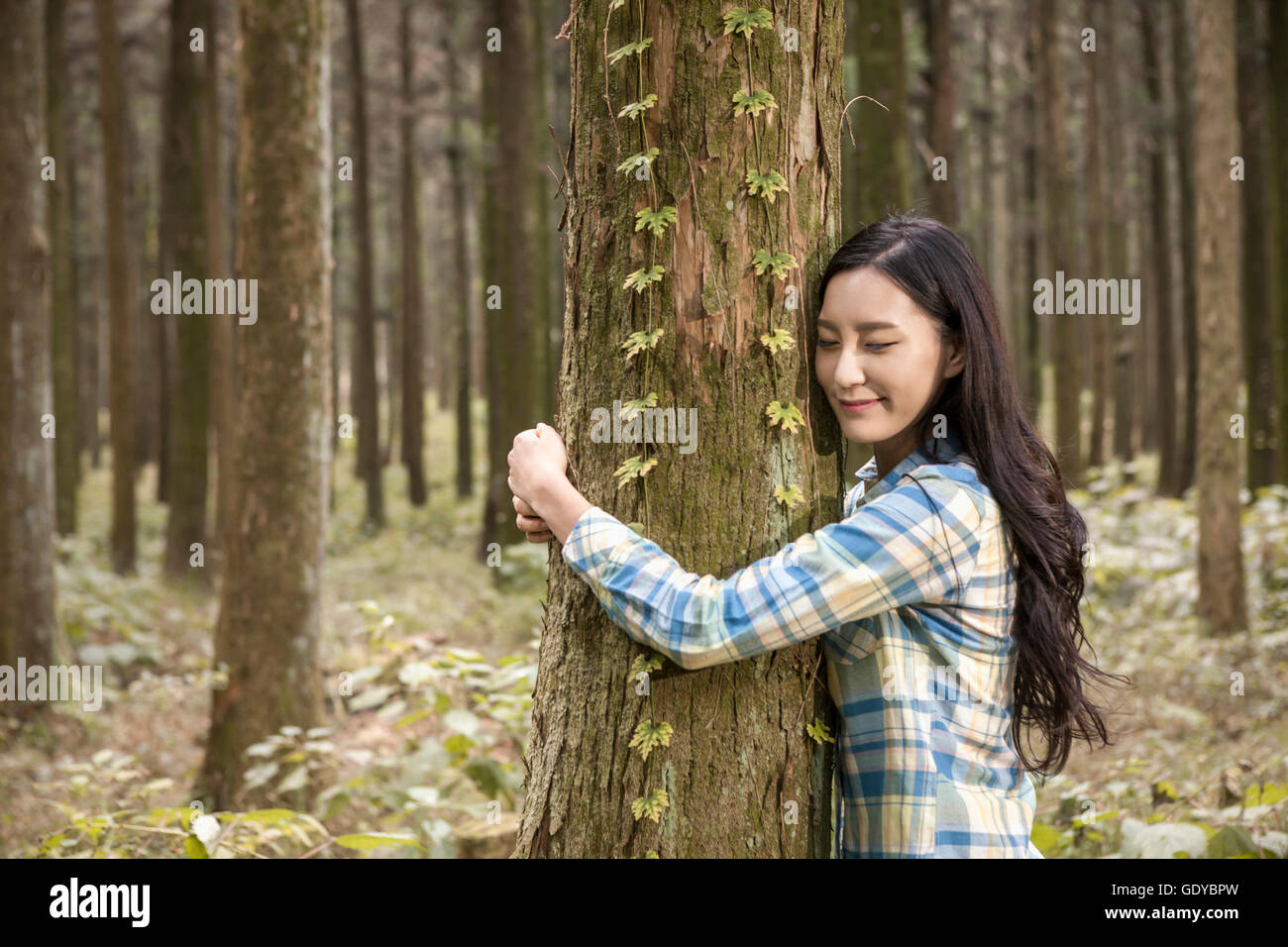 Side view portrait of young woman hugging a tree closing eyes in forest Stock Photo - Alamy