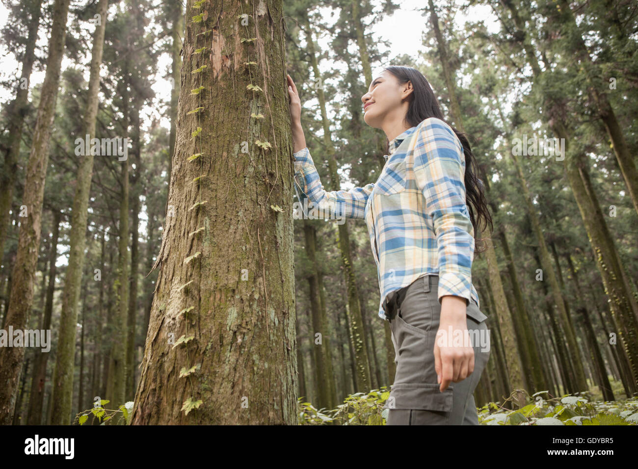 Low angle side view of young smiling woman standing touching a tree in ...
