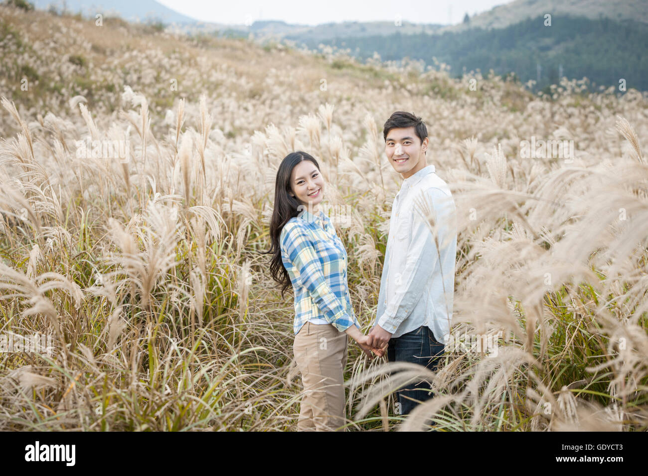 Back view couple holding hands hi-res stock photography and images - Alamy