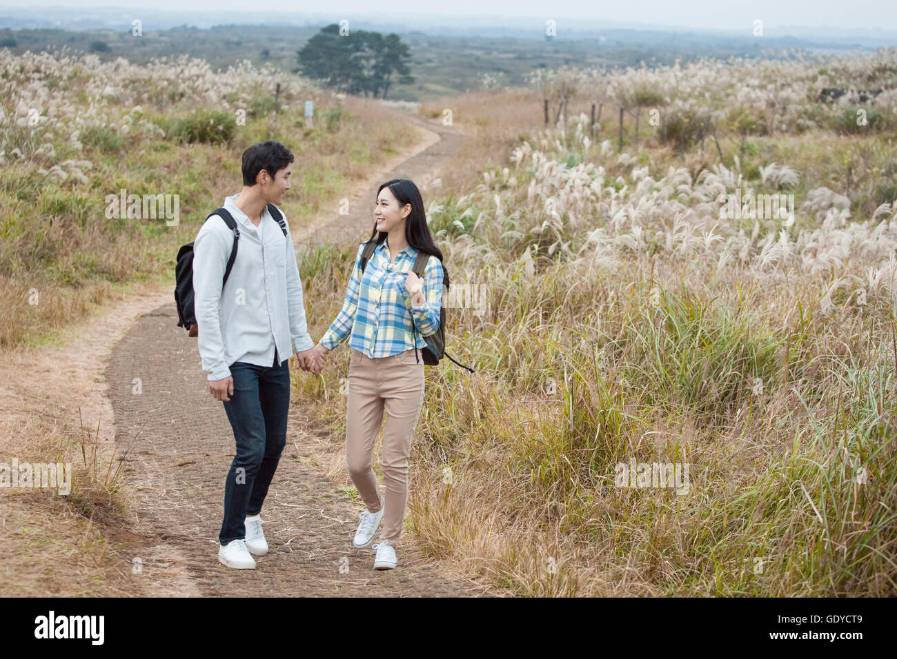 Young smiling couple walking holding hands face ro face in silver grass ...