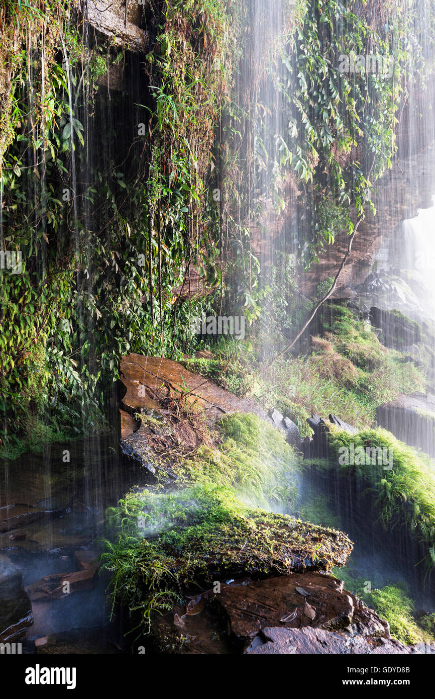 Waterfall, Canaima National Park, Bolivar State, Venezuela Stock Photo ...