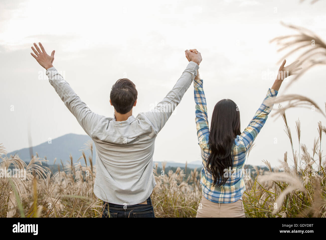 Back of smiling couple raising hands hand in hand in silver grass field ...