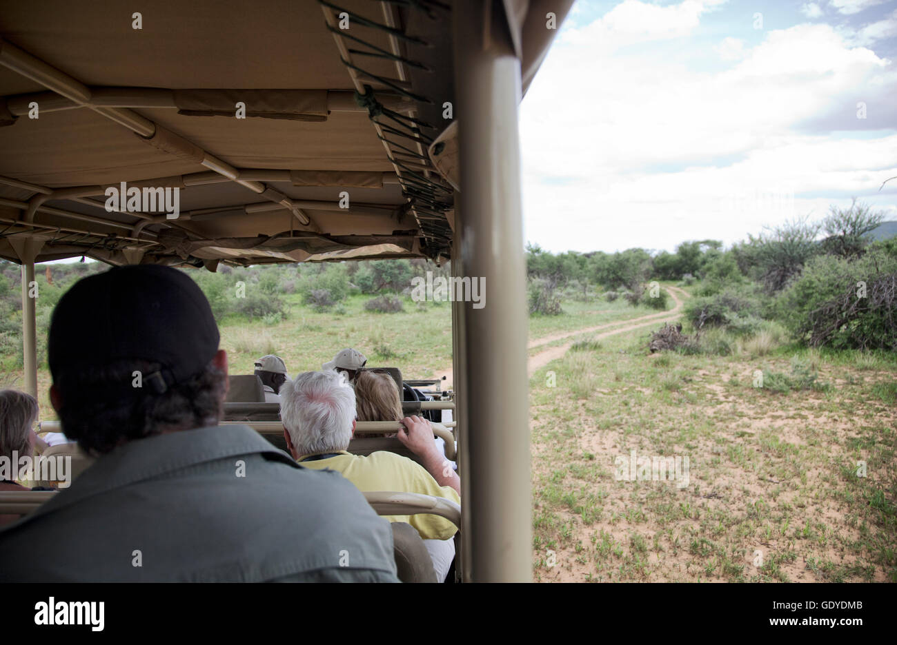 Game Drive in Okonjima in Namibia Stock Photo - Alamy