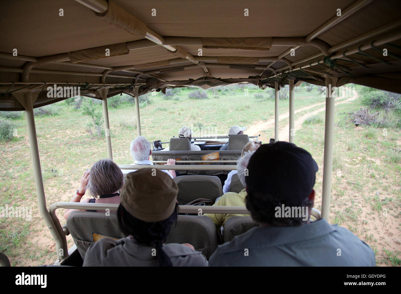 Game Drive in Okonjima in Namibia Stock Photo - Alamy