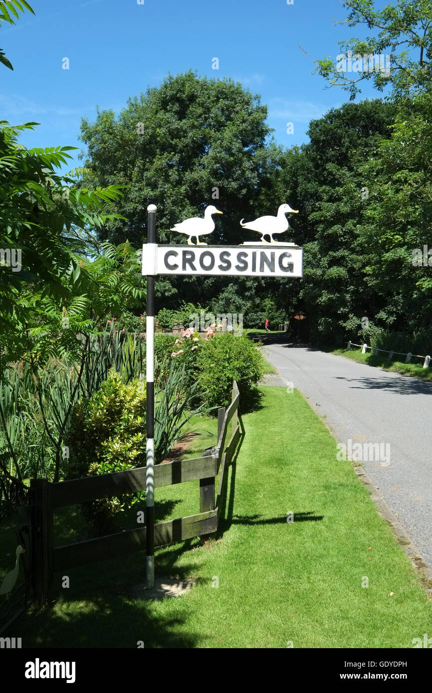 Ducks crossing sign in the Norfolk village of Ludham Stock Photo - Alamy