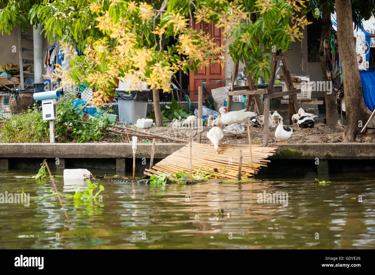 Thonburi scenery hi-res stock photography and images - Alamy