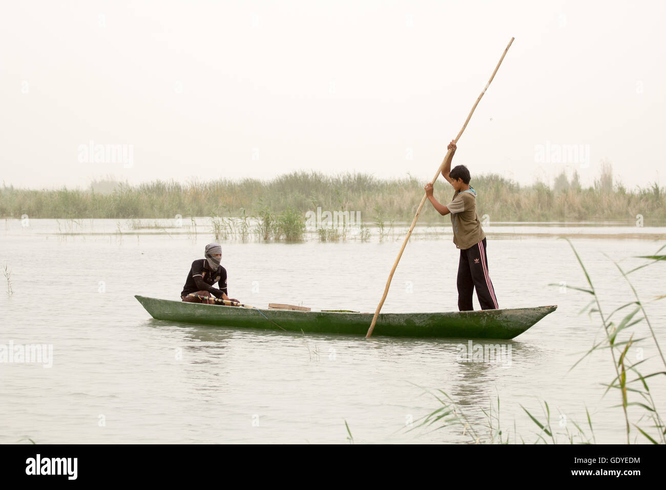 Image marshes of Iraq in Dhi Qar province, which is located south of ...