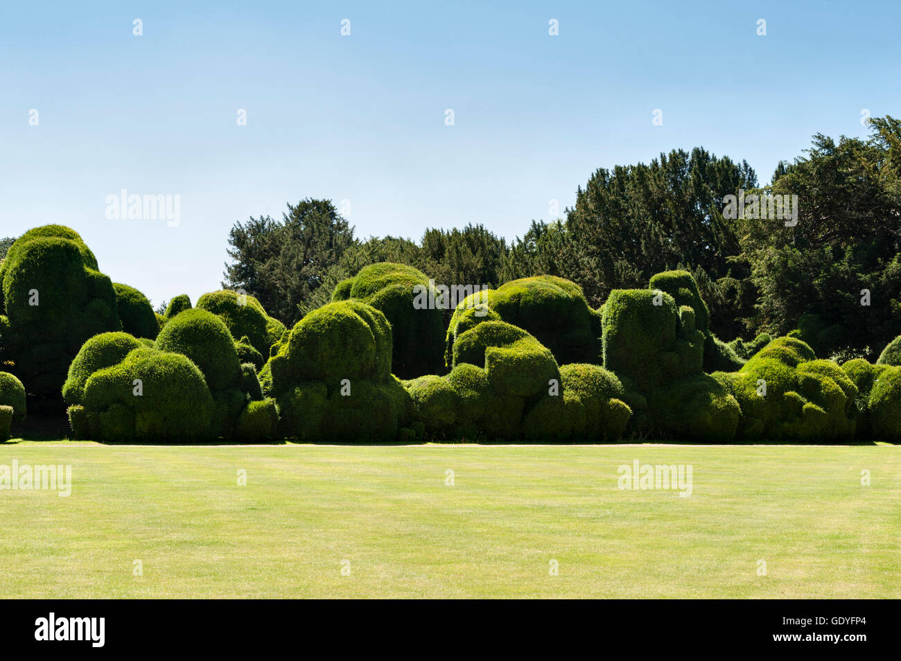 Clipped hedge formal hi-res stock photography and images - Alamy