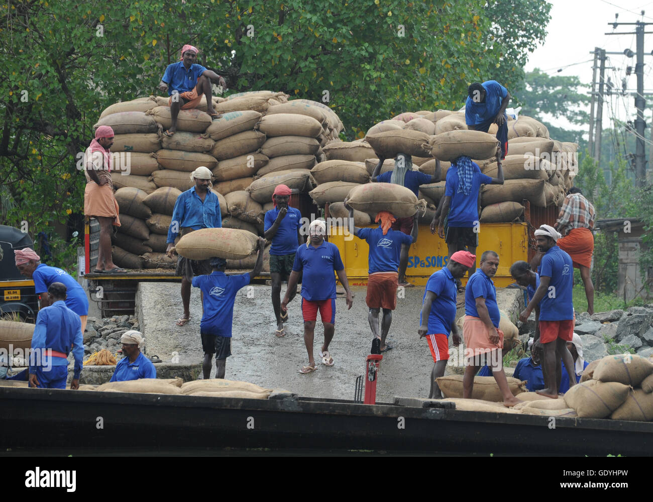Workers are loading rice bags onto the cargo area of a truck near ...