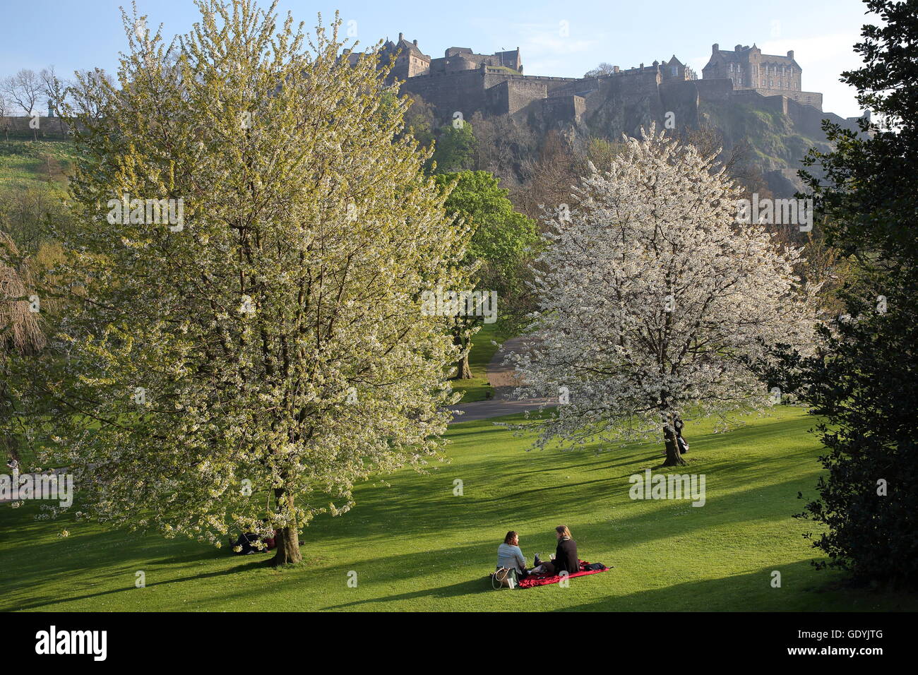 Spring colours hi-res stock photography and images - Alamy