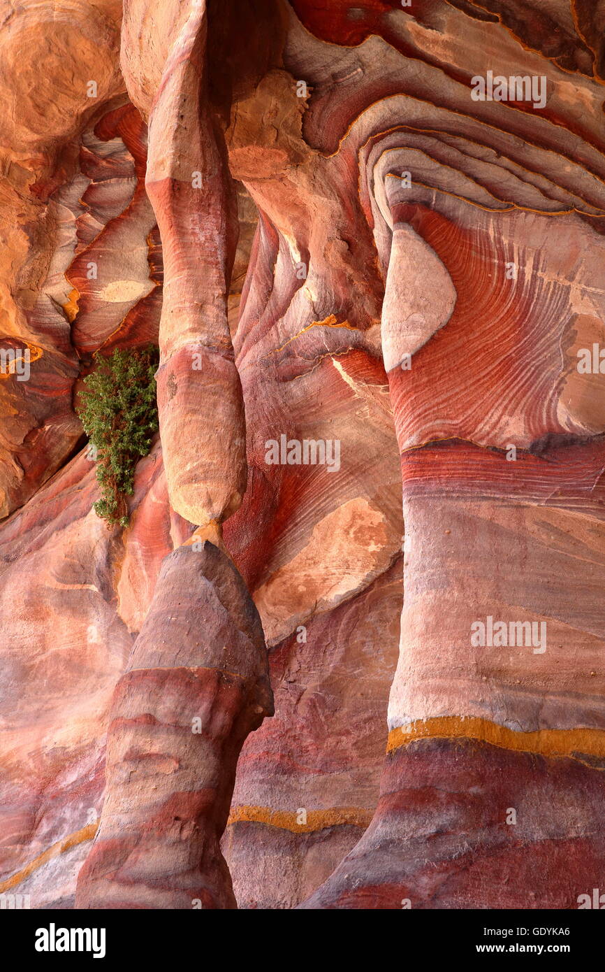 Colourful sandstone in Petra, Jordan Stock Photo - Alamy