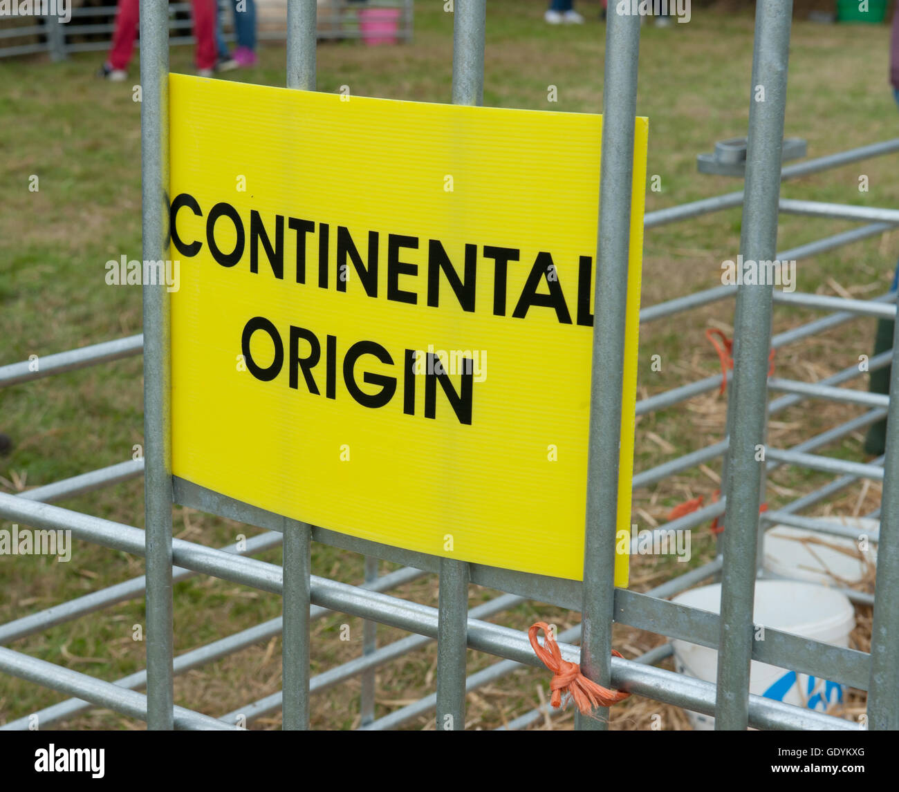 "Continental Origin" Sign for a Breed of Sheep Attached to the Side of ...