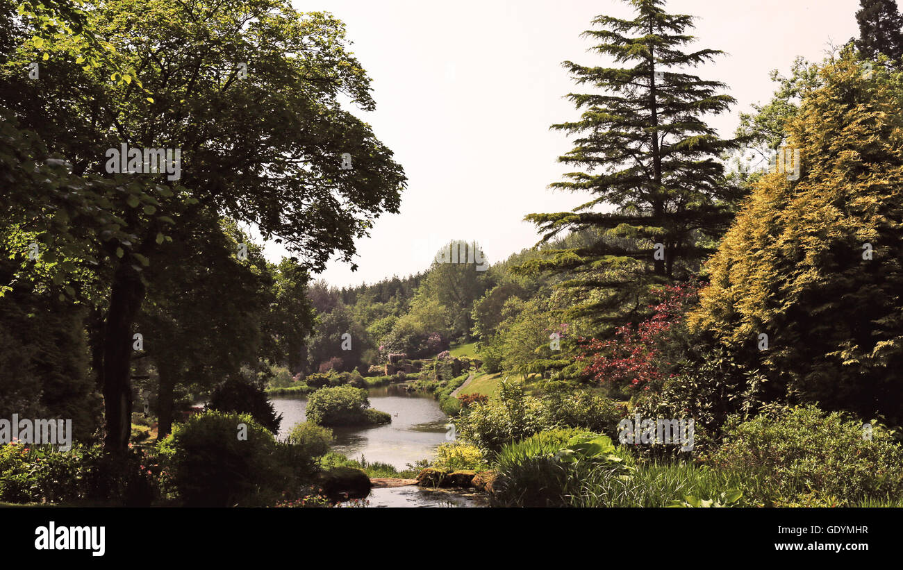 Summer view landscape Stock Photo - Alamy
