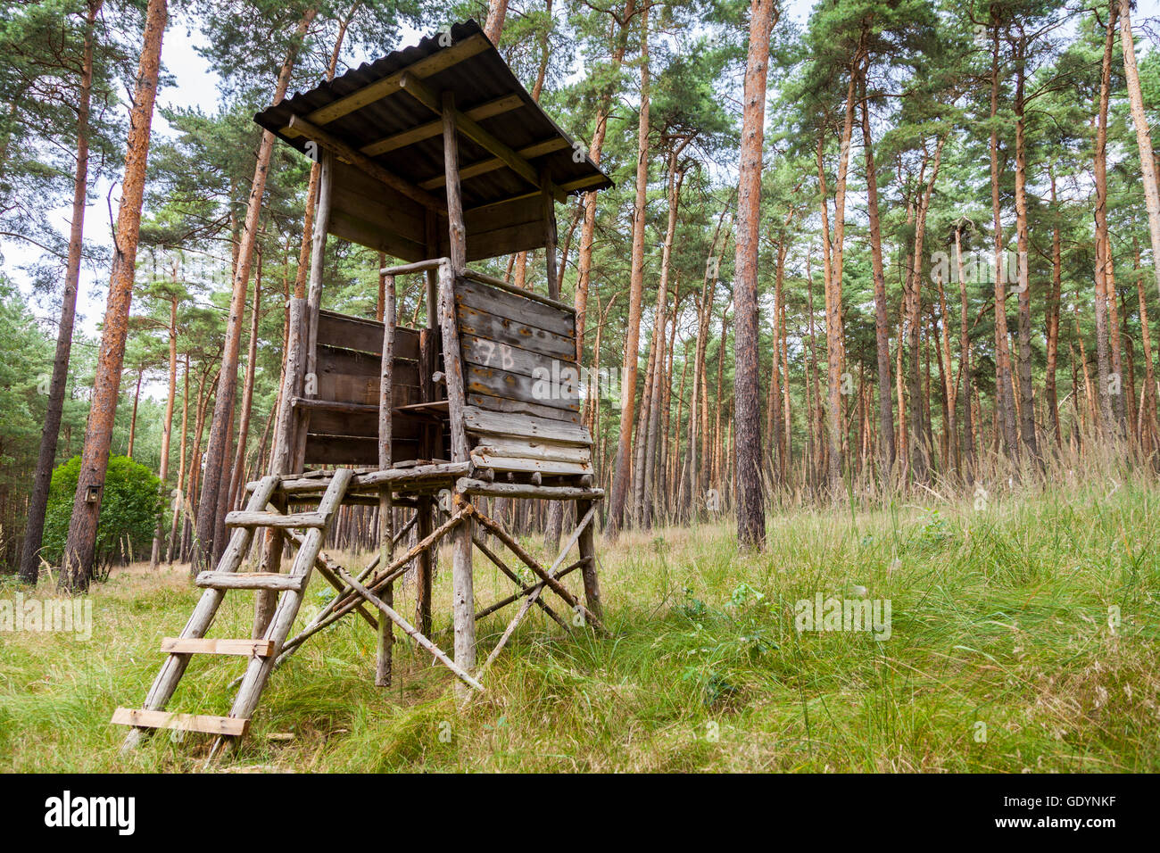 German boar hunting hi-res stock photography and images - Alamy