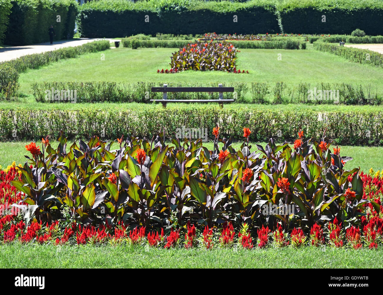 Public park with flowers in summer Stock Photo - Alamy