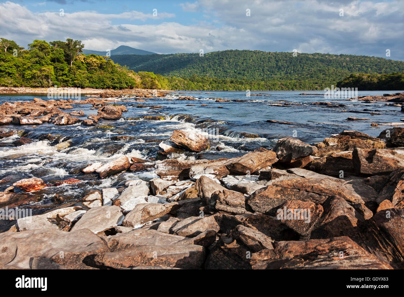 Forest at riverside and mountains in background, Carrao river, Canaima ...