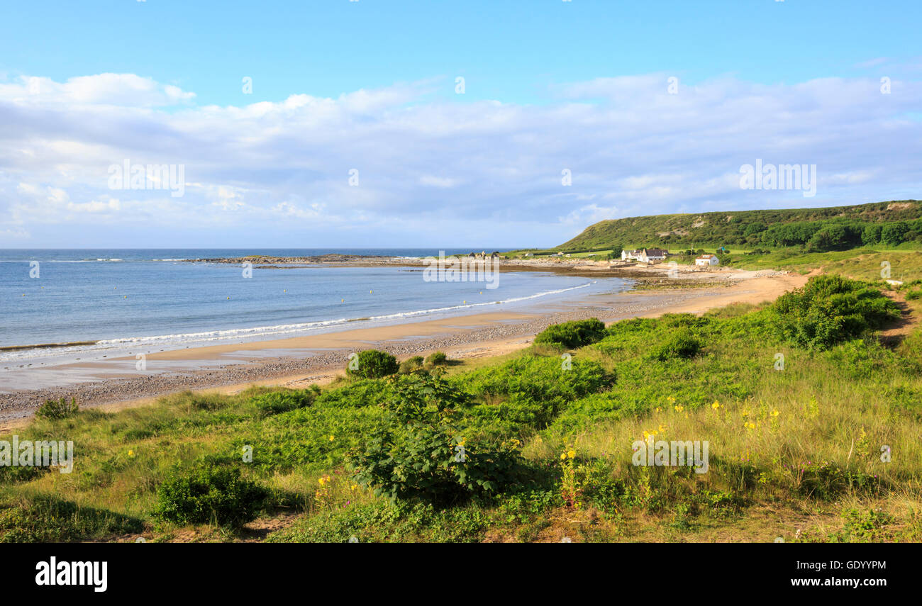Port Eynon Bay on the Gower Peninsula, Wales Stock Photo - Alamy