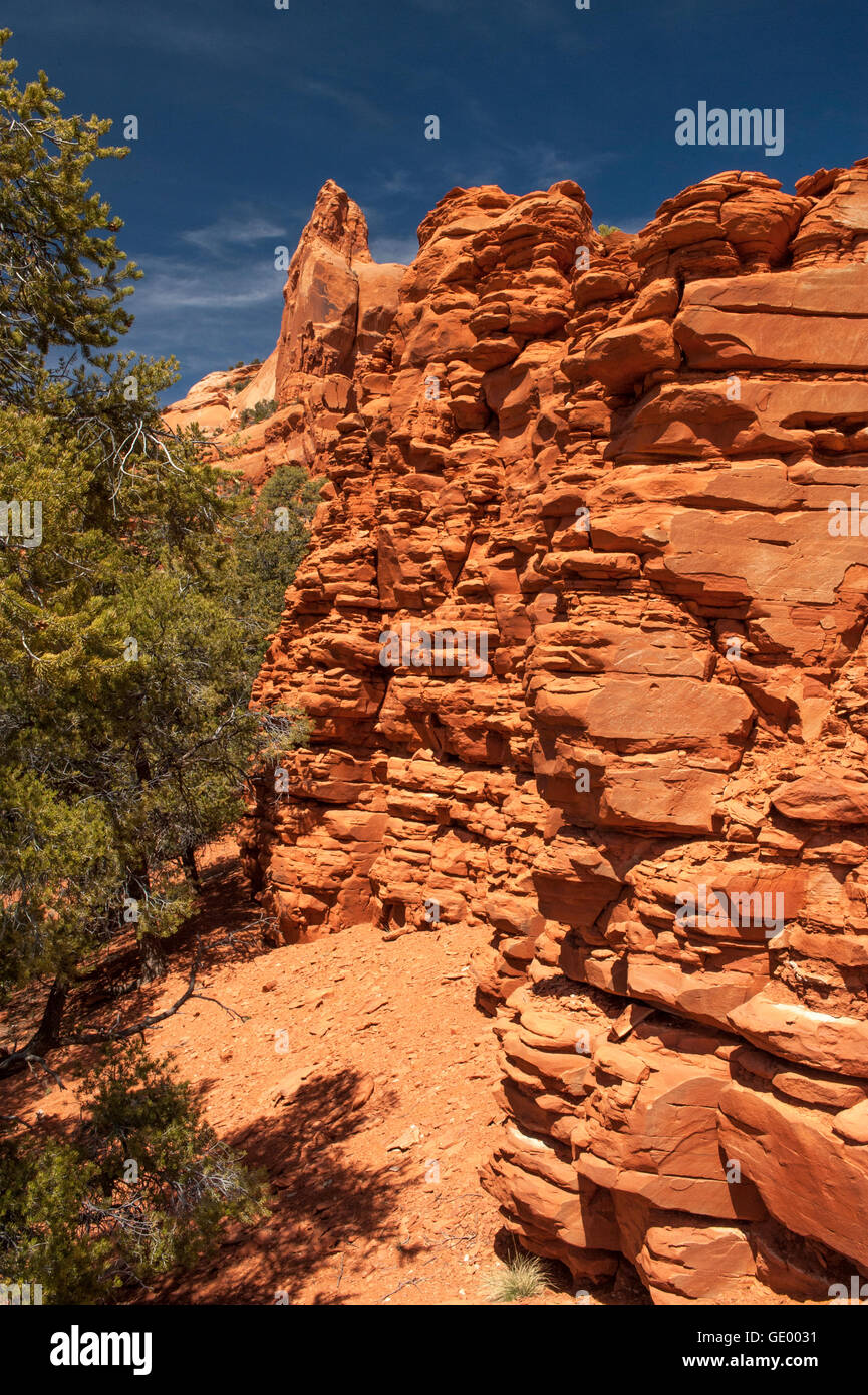 Arizona geology chuska hi-res stock photography and images - Alamy