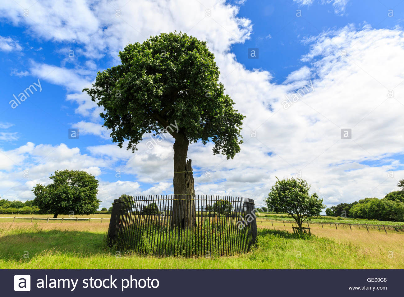 Royal Oak Boscobel Stock Photos & Royal Oak Boscobel Stock Images - Alamy