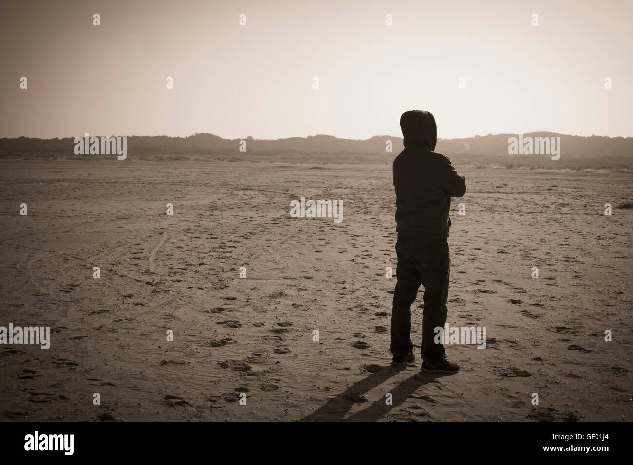 Rear view of a mature man standing in desert, Renesse, Schouwen ...
