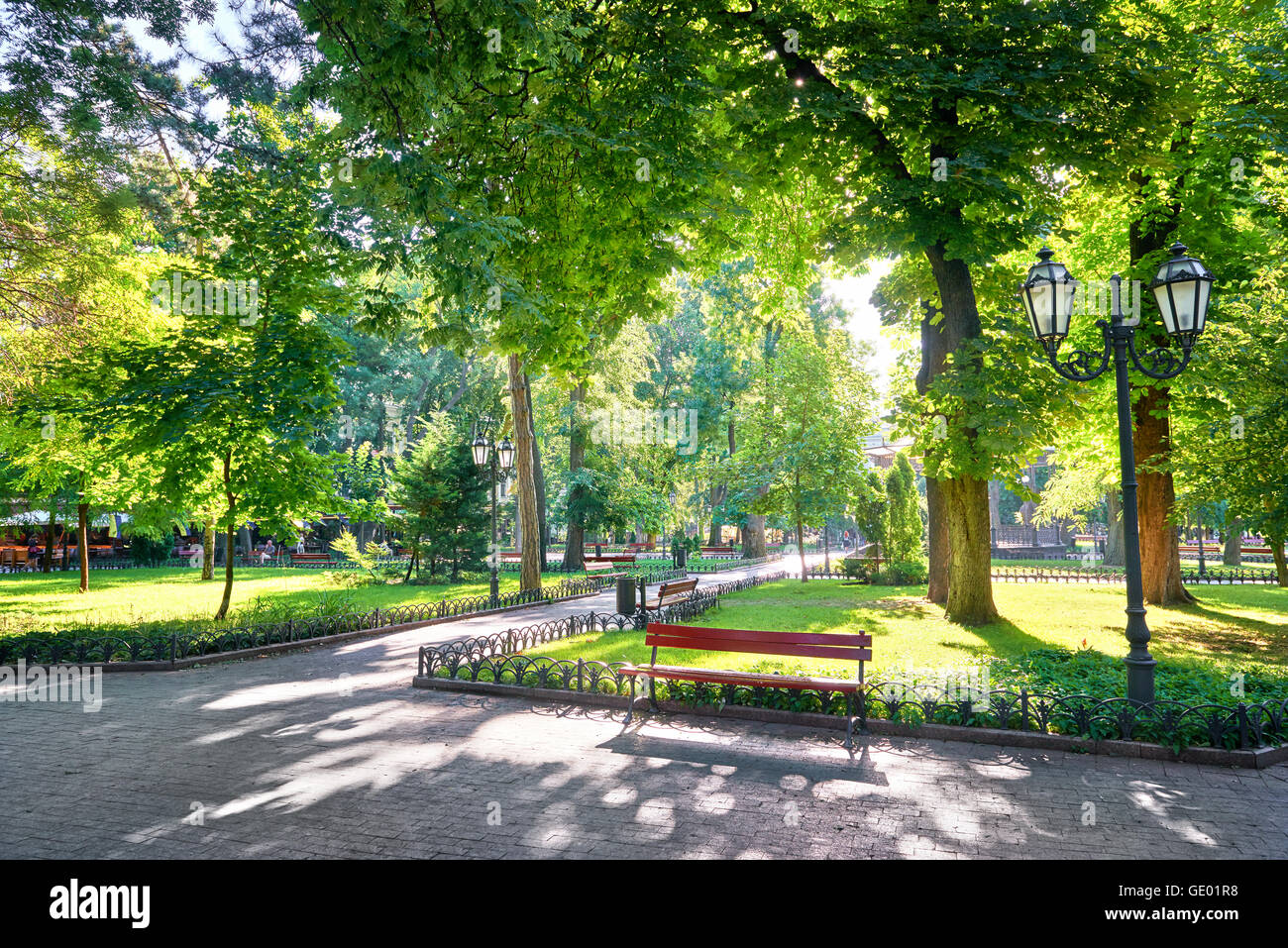 Central park morning bright hi-res stock photography and images - Alamy