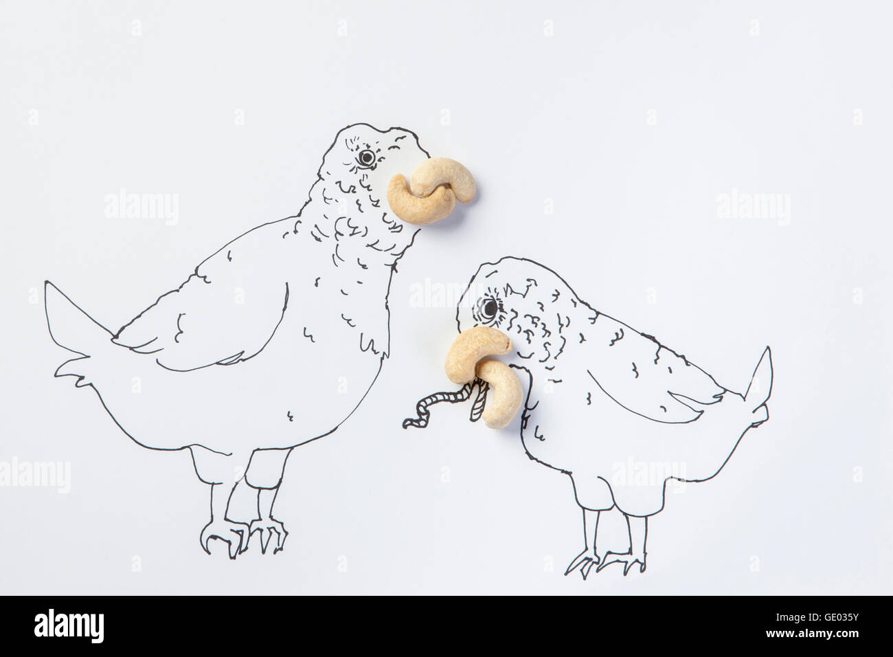 Illustration of two birds eating worms Stock Photo - Alamy