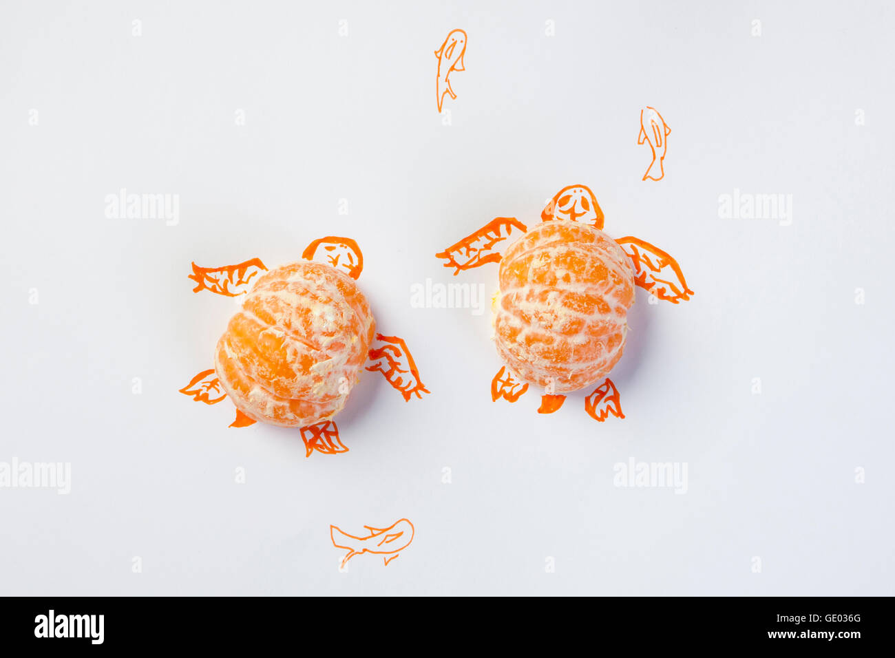 Turtles and fish hi-res stock photography and images - Alamy