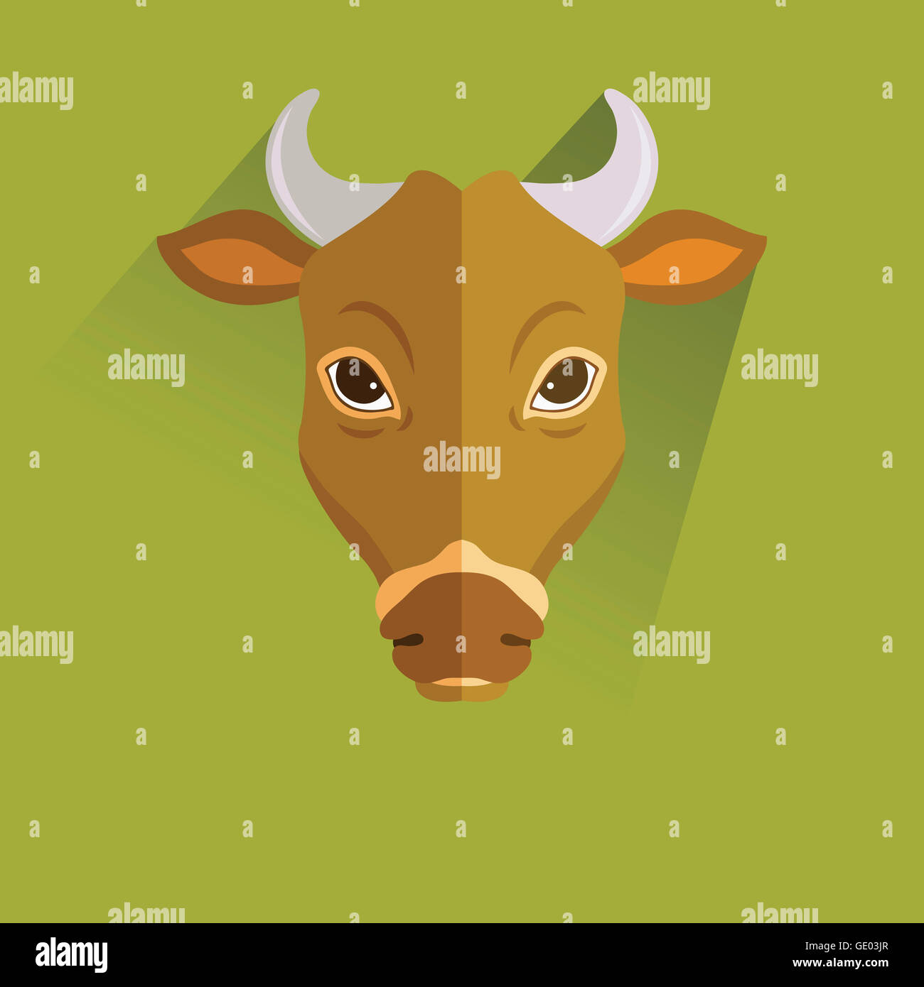 Head of an ox Stock Photo - Alamy