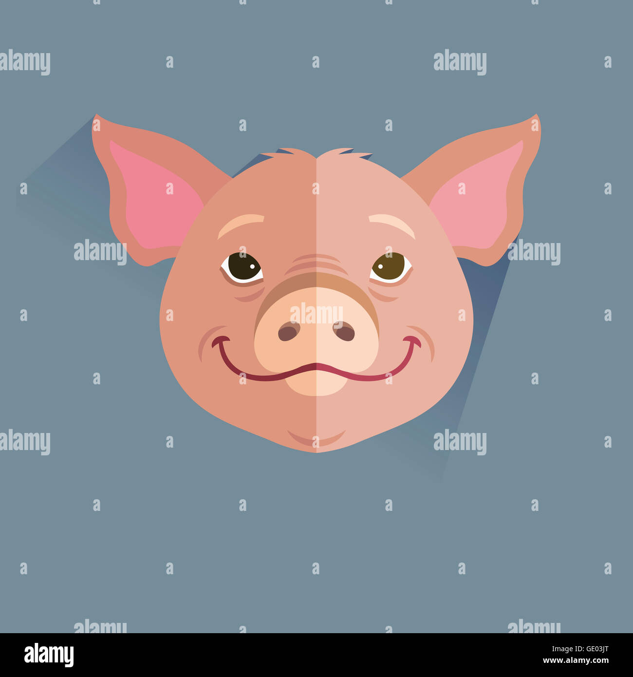 Head of a pig Stock Photo - Alamy