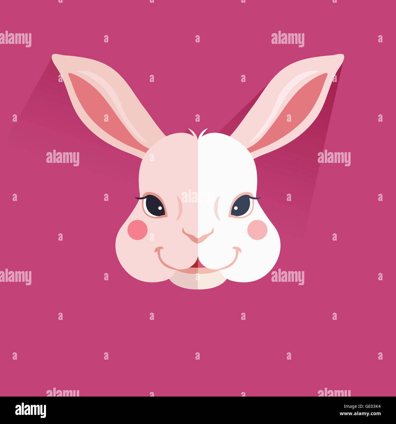 Head of a rabbit Stock Photo - Alamy