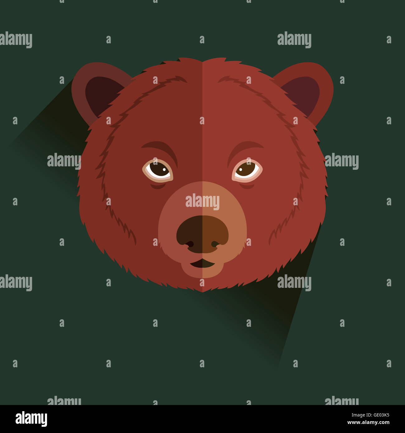 Head of a bear Stock Photo - Alamy