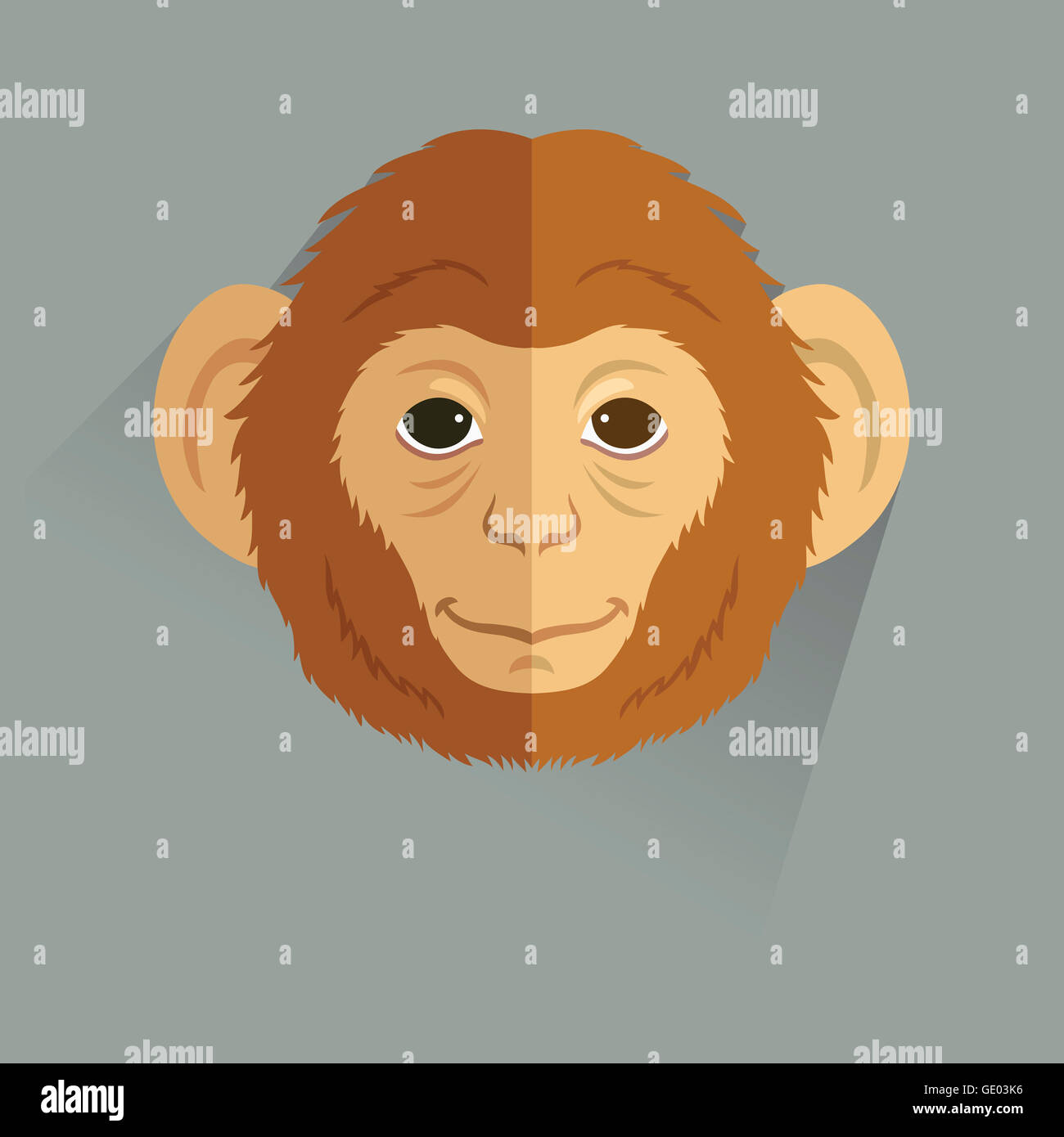 Head of a monkey Stock Photo - Alamy