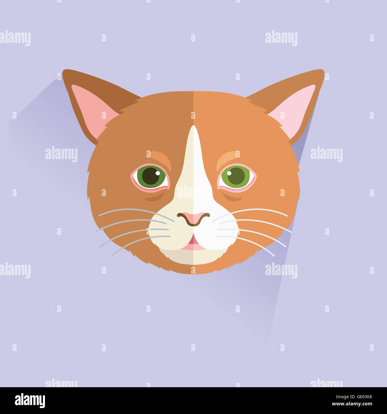 Head of a cat Stock Photo - Alamy