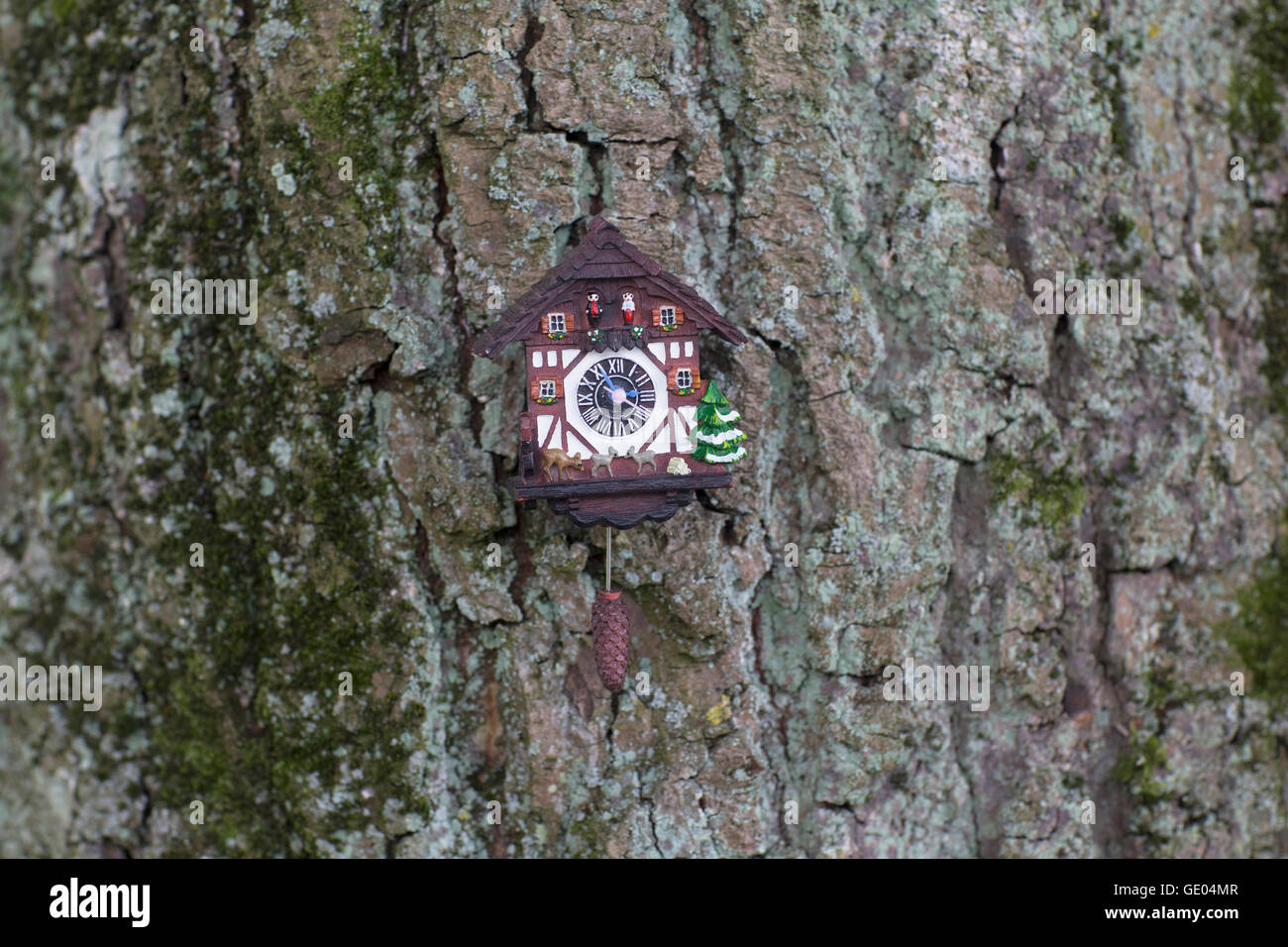 Antique wall clock hanging on tree trunk Stock Photo - Alamy
