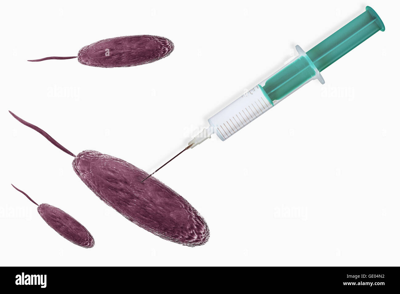 Illustration of Bacteria with syringe Stock Photo - Alamy