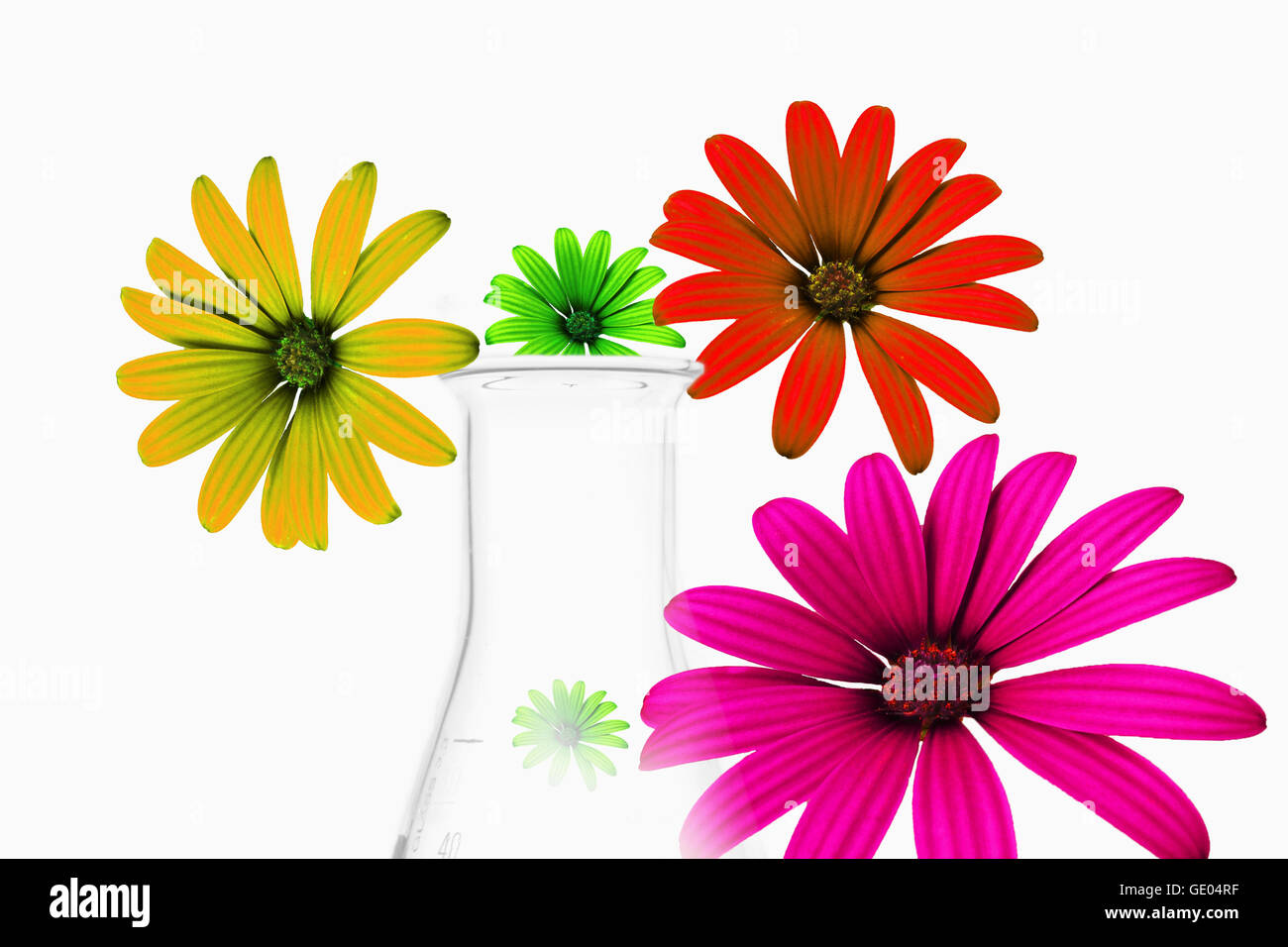 Illustration of flowers with conical flask Stock Photo - Alamy