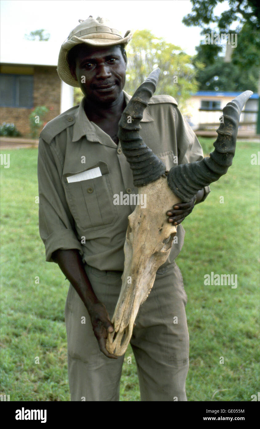 Ghana wildlife hi-res stock photography and images - Alamy