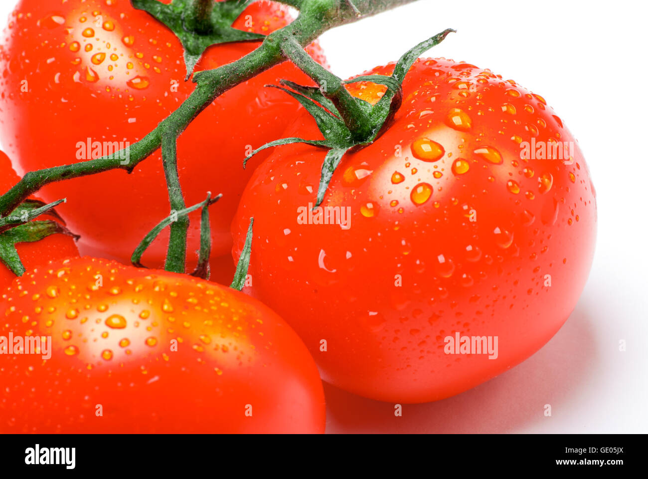 Tomatoes on a white background Stock Photo - Alamy
