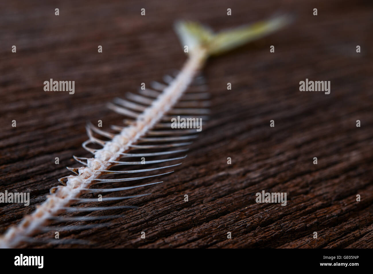 fishbone on old wood background Stock Photo - Alamy
