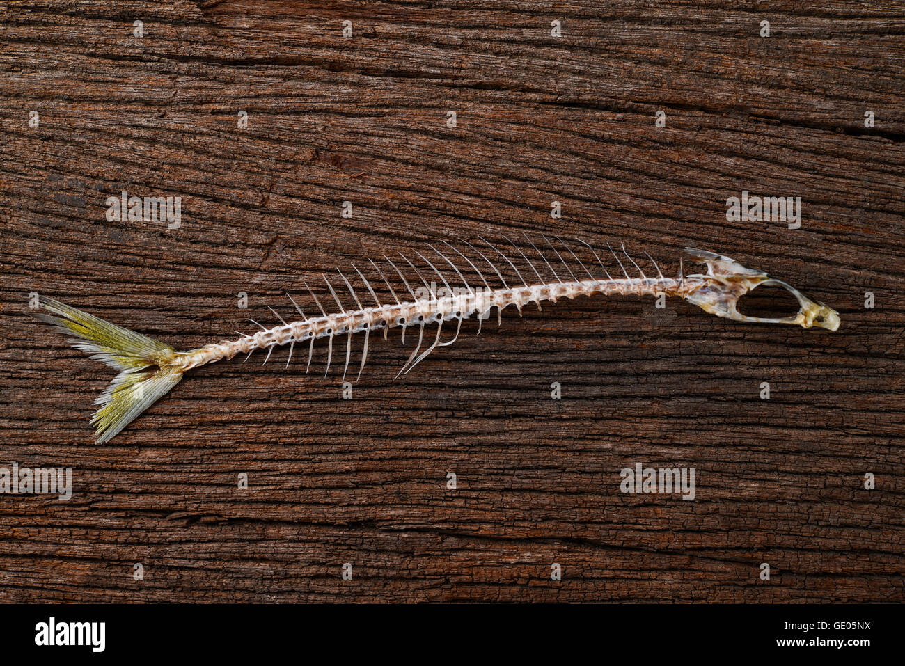 fishbone on old wood background Stock Photo - Alamy