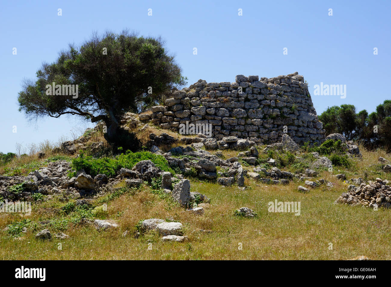 Old pinacotheca alte pinakothek exterior view hi-res stock photography ...
