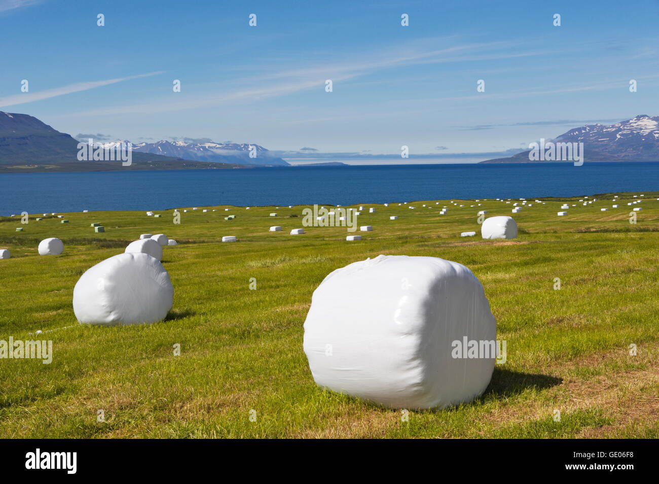 geography / travel, Iceland, Haystacks in summer, Akureyri, Eyjafjordur ...