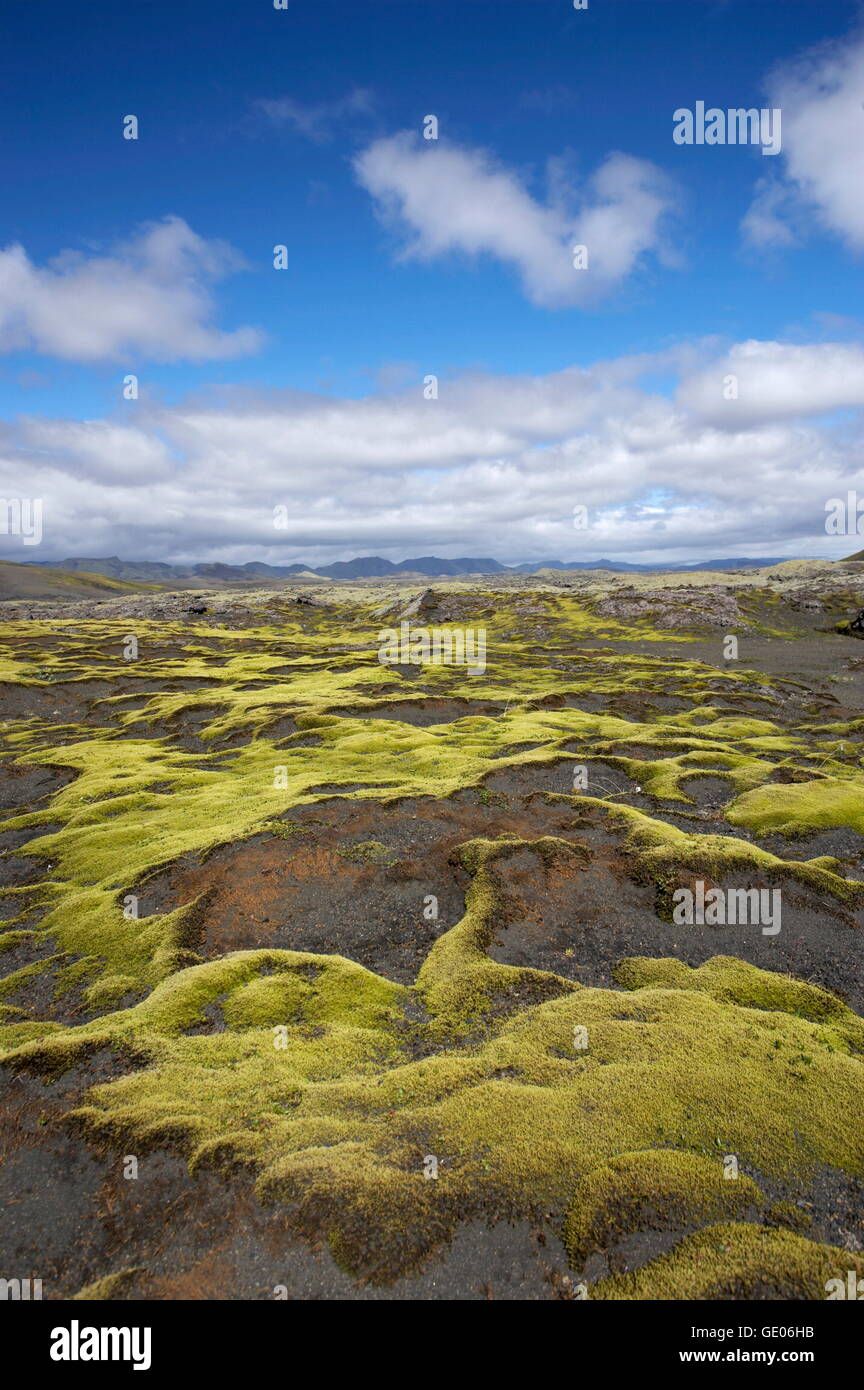 geography / travel, Iceland, Lakagigar volcanic landscape ...