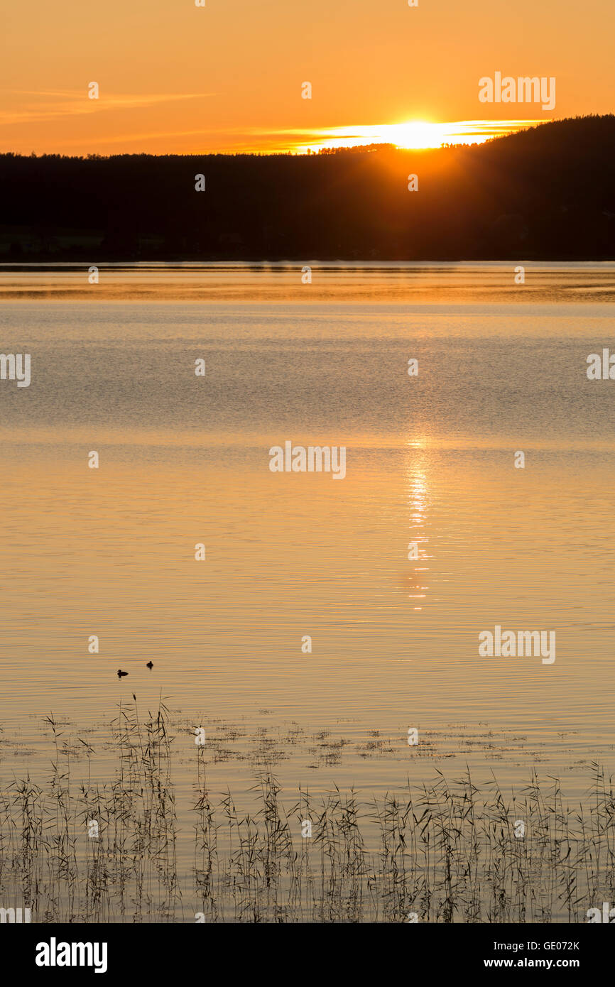 Birds in sunset hi-res stock photography and images - Alamy