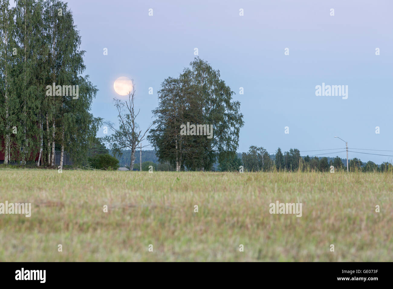 Field with Trees and Moon with a cloudy sky Stock Photo - Alamy