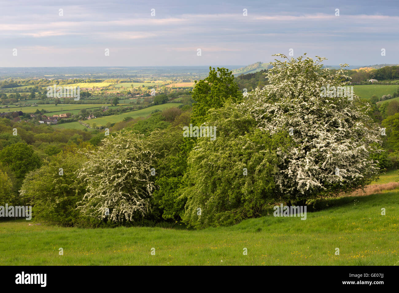 Evesham vale hi-res stock photography and images - Alamy