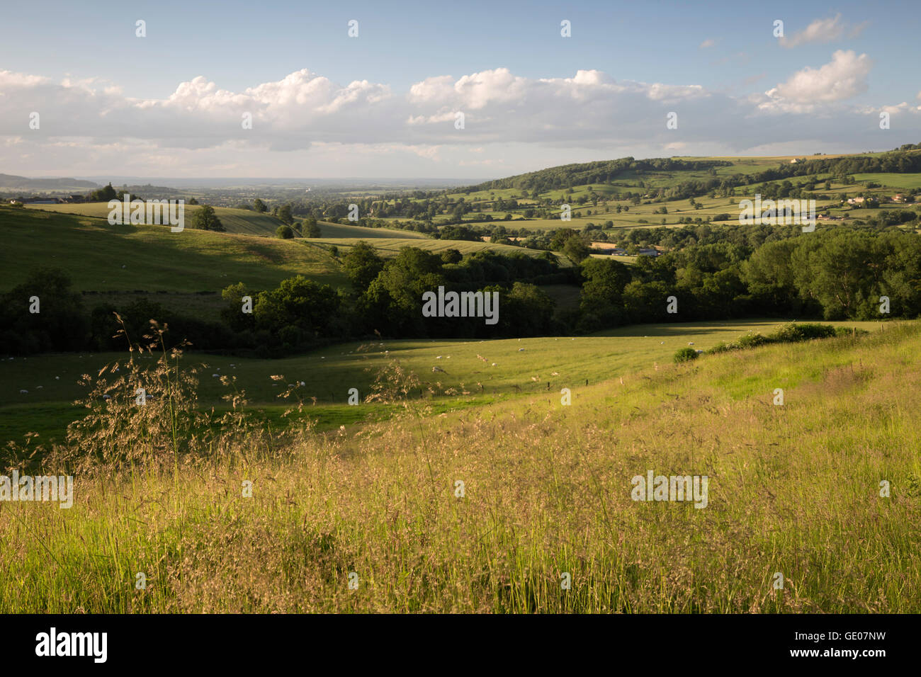Vale of evesham landscape hi-res stock photography and images - Alamy