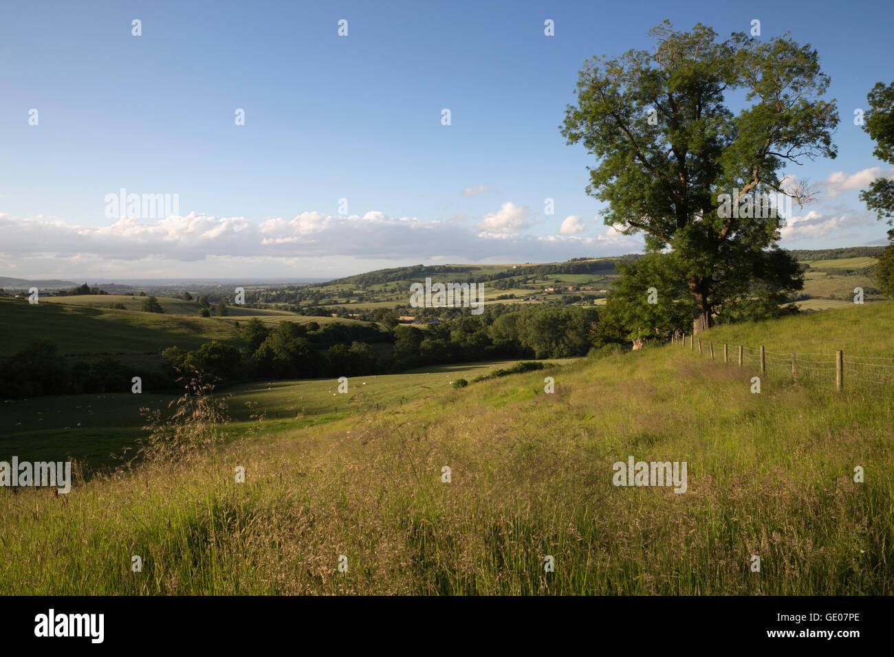 Vale of evesham landscape hi-res stock photography and images - Alamy